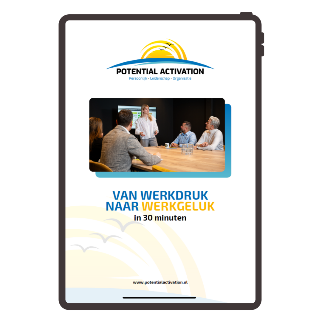 E-book Werkgeluk - Potential Activation