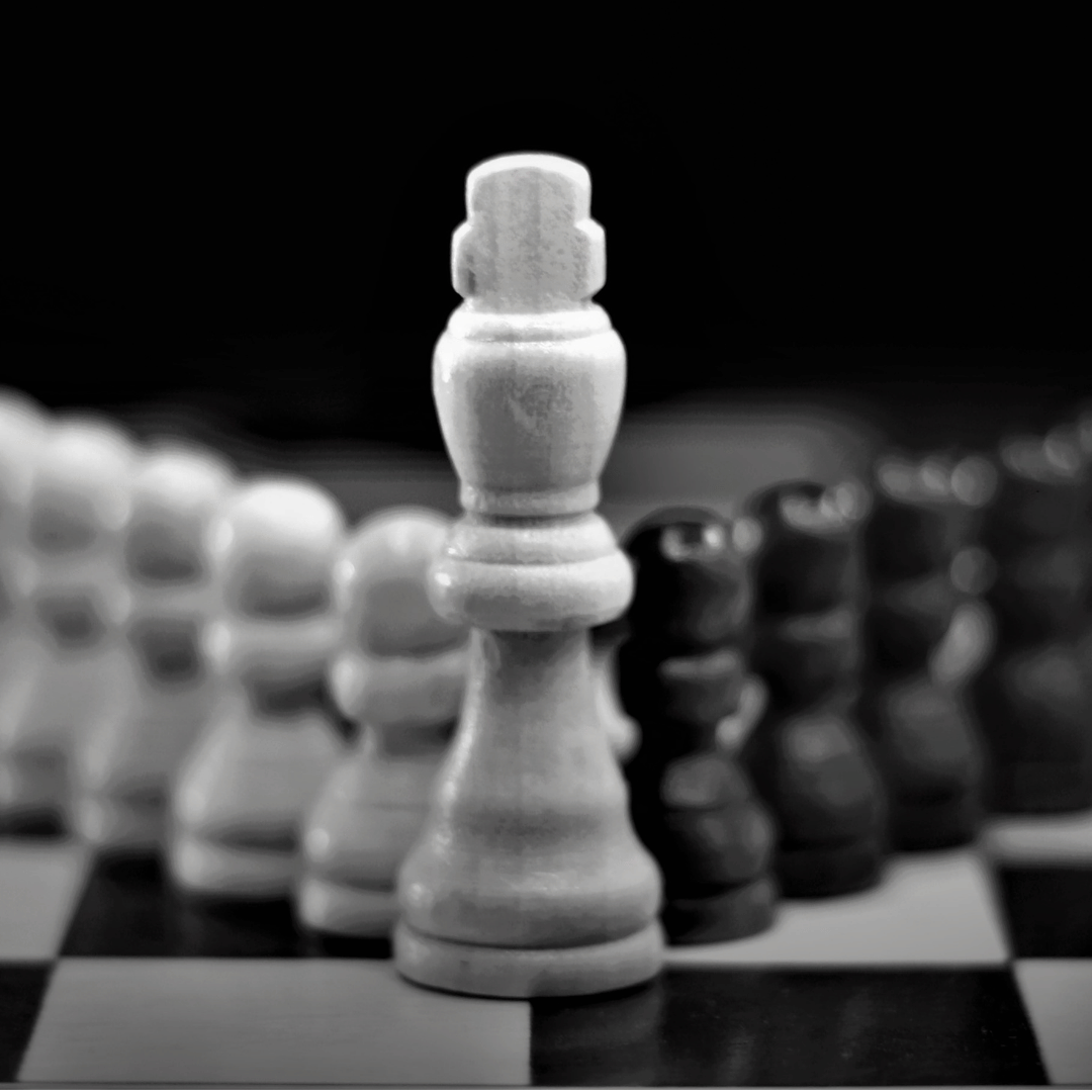 Mannelijk Leiderschap - Potential Activation